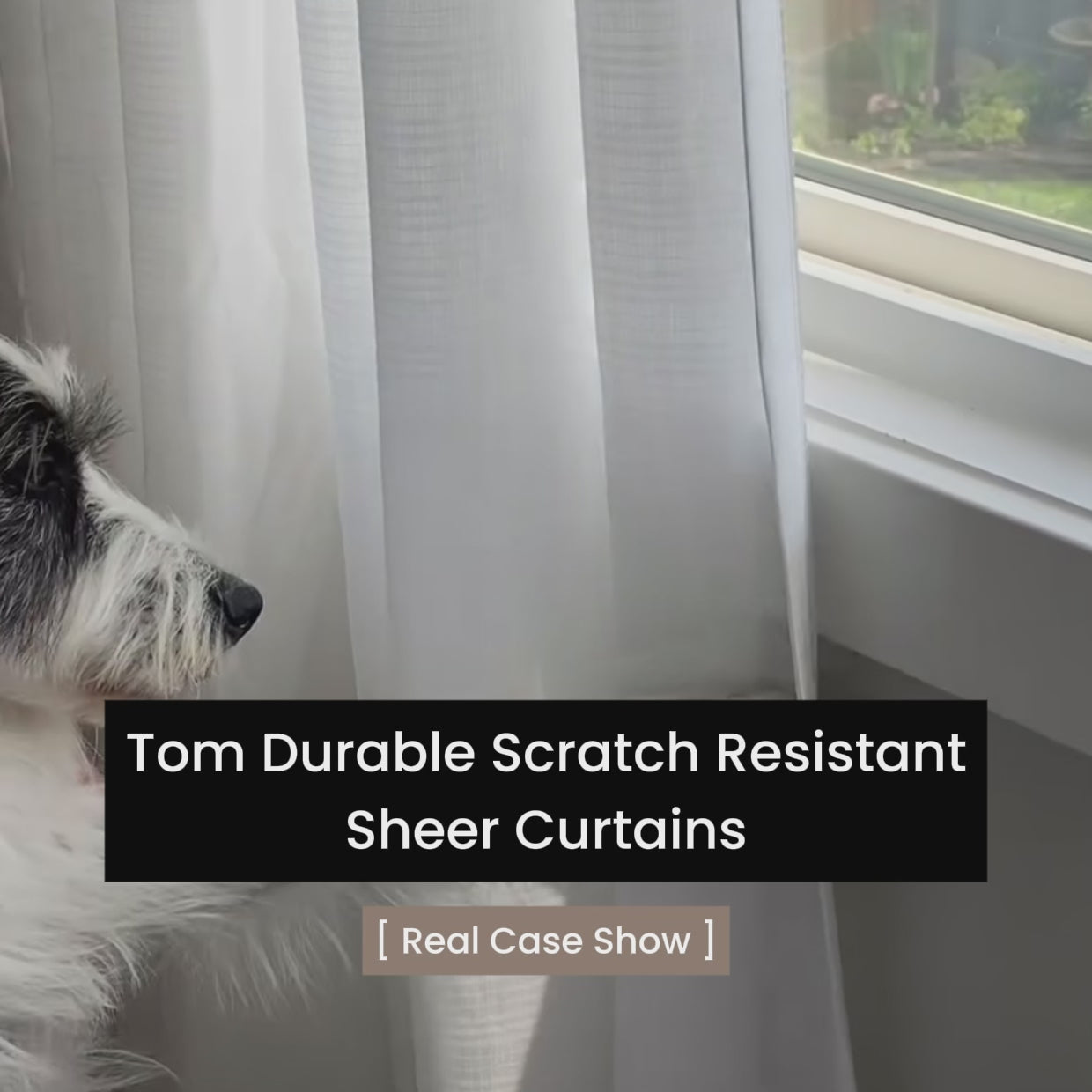 Custom Made Tom Scratch Resistant Sheer Curtains – Curtarra